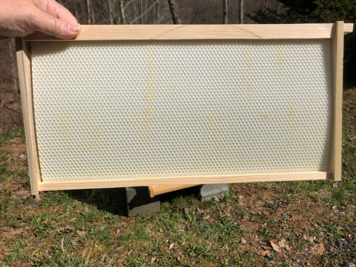 A New Beekeeper's Guide to Setting Up Your First Beehive